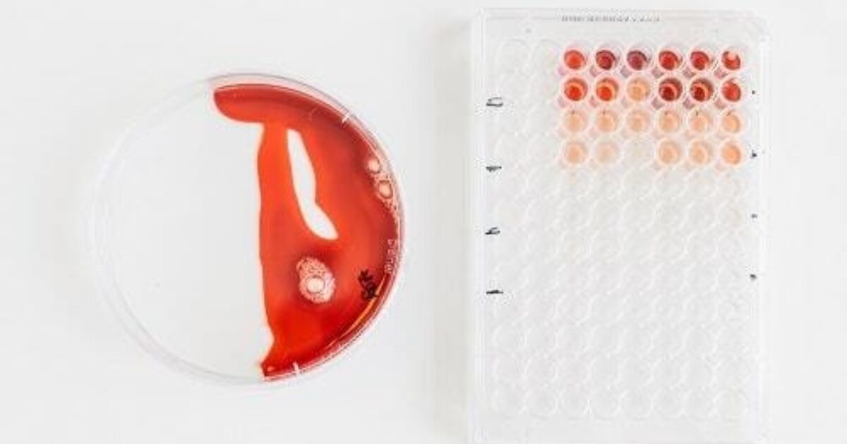 NovaBiotics clinical testing of COVID-19 drug | ONE
