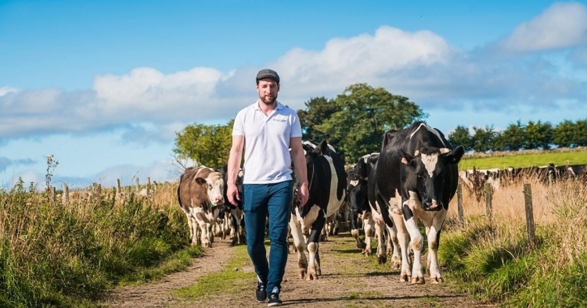 Forest Farm sustainability | ONE